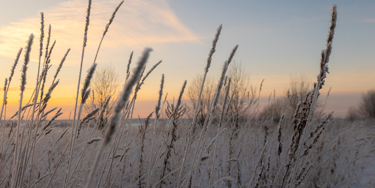 County of Two Hills - Home