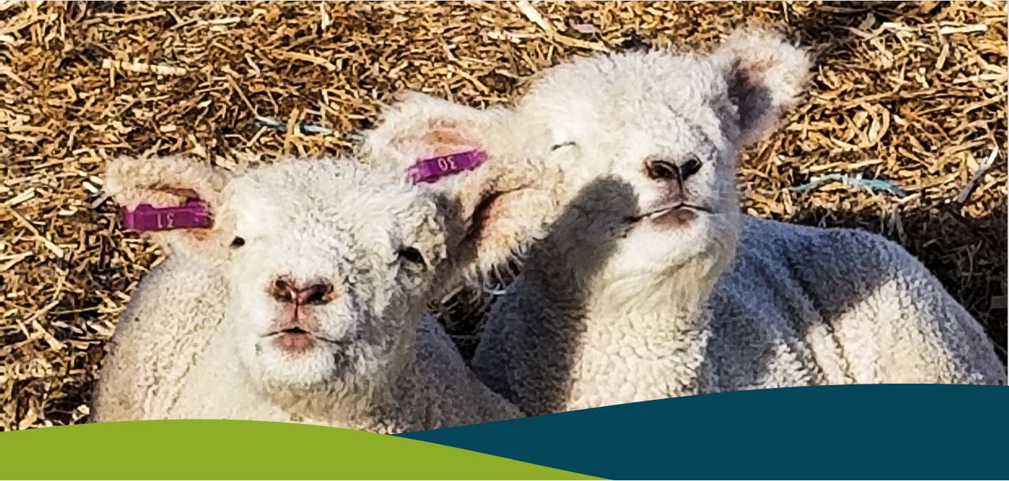 County of Two Hills - Home